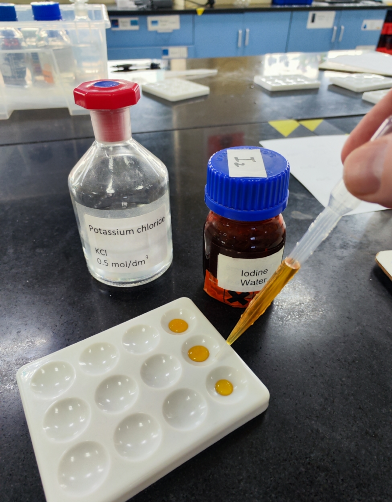 Halogen Displacement – Practical Science