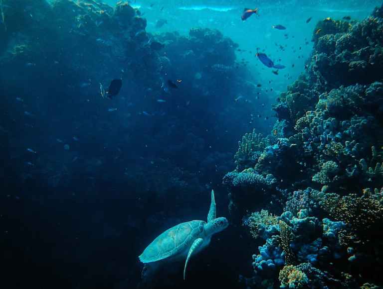 Winkler Method – Redox Titration to calculate the Biological Oxygen ...